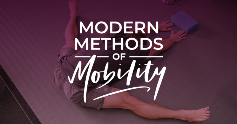 The Modern Methods of Mobility System