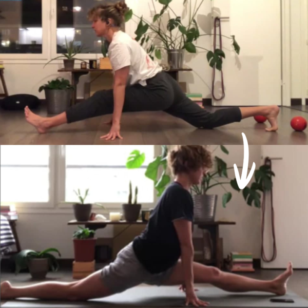 Front Splits Online Program - Modern Methods of Mobility