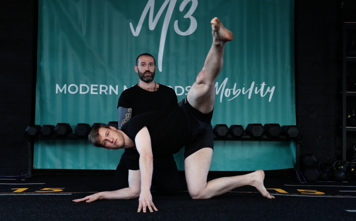 What do people actually mean by "end range" training? - Modern Methods ...