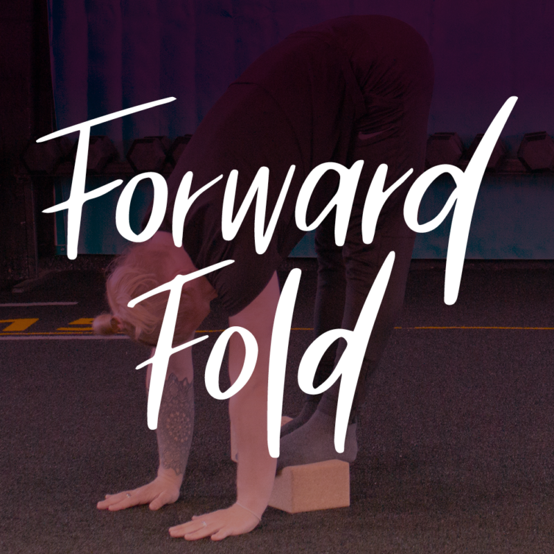 The Basics of Partner Stretching - Modern Methods of Mobility