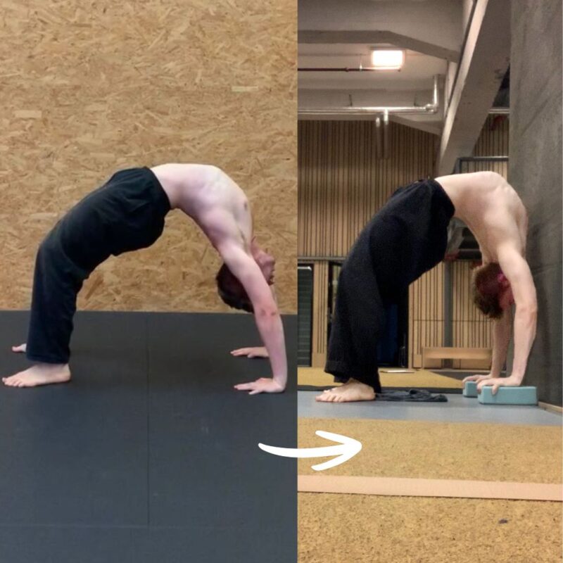 Bridge Flexibility Online Program - Modern Methods of Mobility