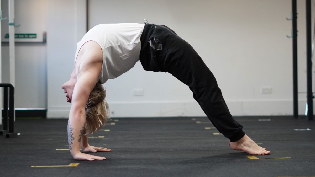 The Back Bridge - Modern Methods of Mobility