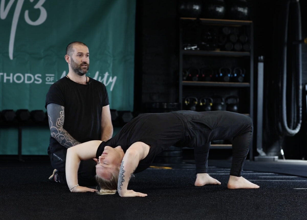 The Back Bridge - Modern Methods of Mobility