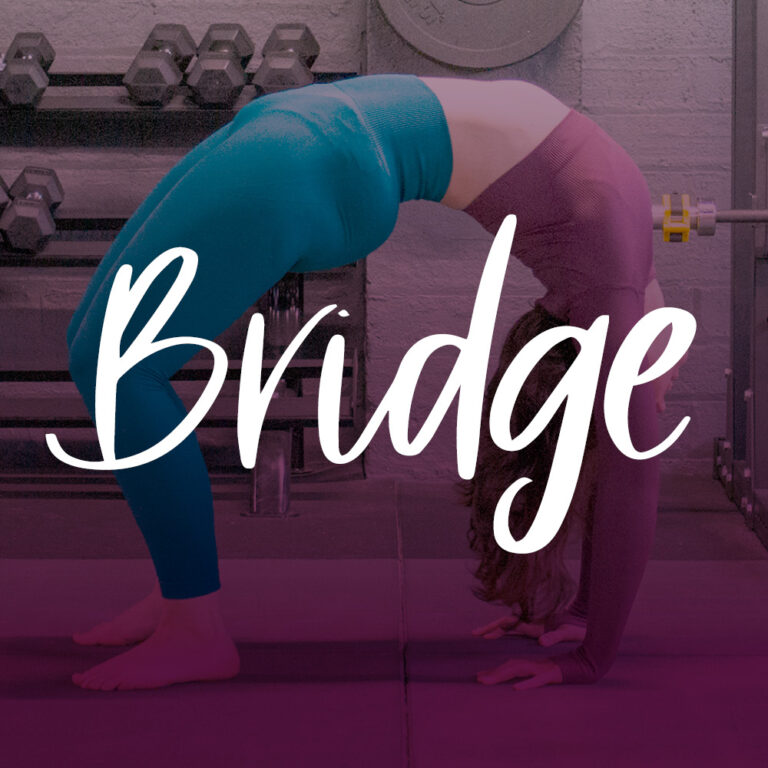 Bridge - Modern Methods of Mobility