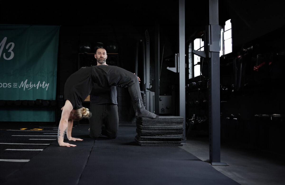 The Back Bridge - Modern Methods of Mobility